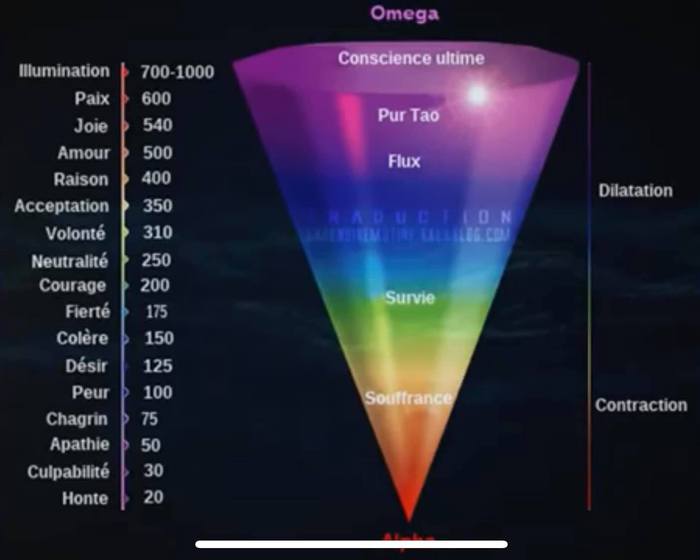 Fréquences vibratoires